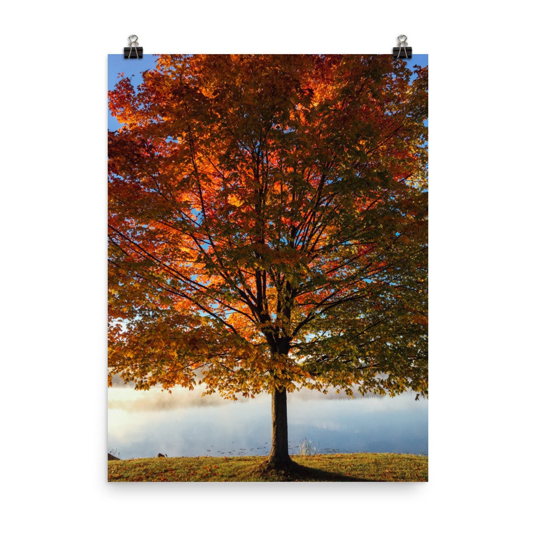 Autumn Tree Wall Art Autumn Aesthetic Printable Wall Art 12x18 Art ...