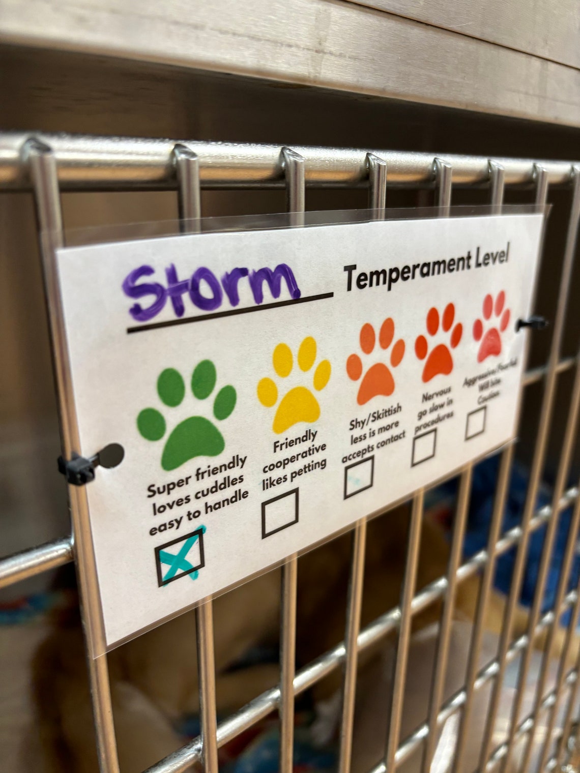 Temperment Level Kennel Card for Veterinary Clinics - Etsy