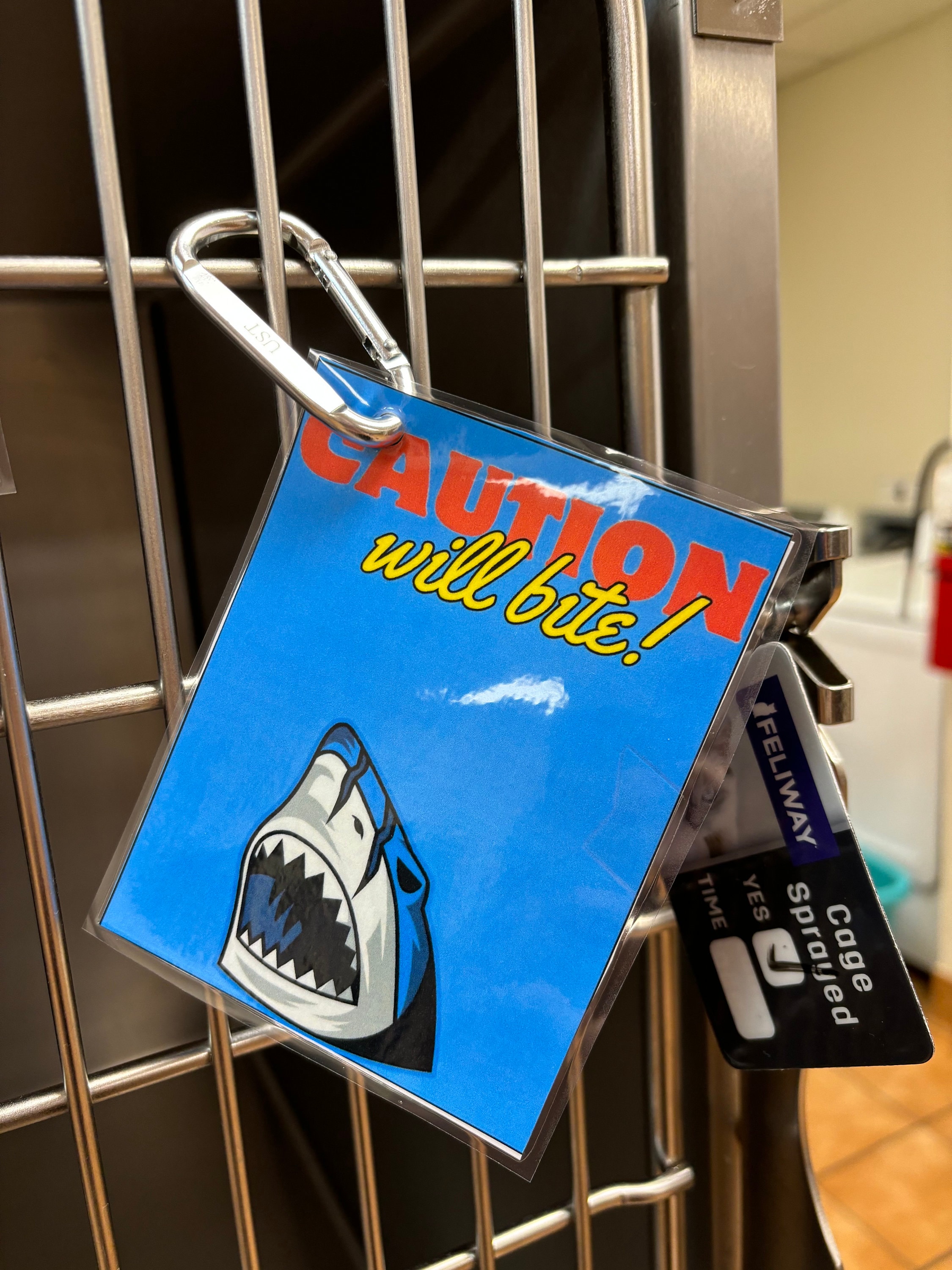 Veterinary Clinic Funny Cage Cards - Etsy