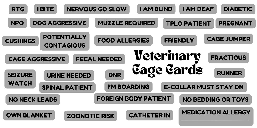Grey Veterinary Cage Cards - Etsy