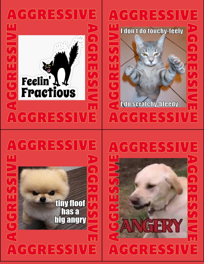 Veterinary Clinic Funny Cage Cards - Etsy