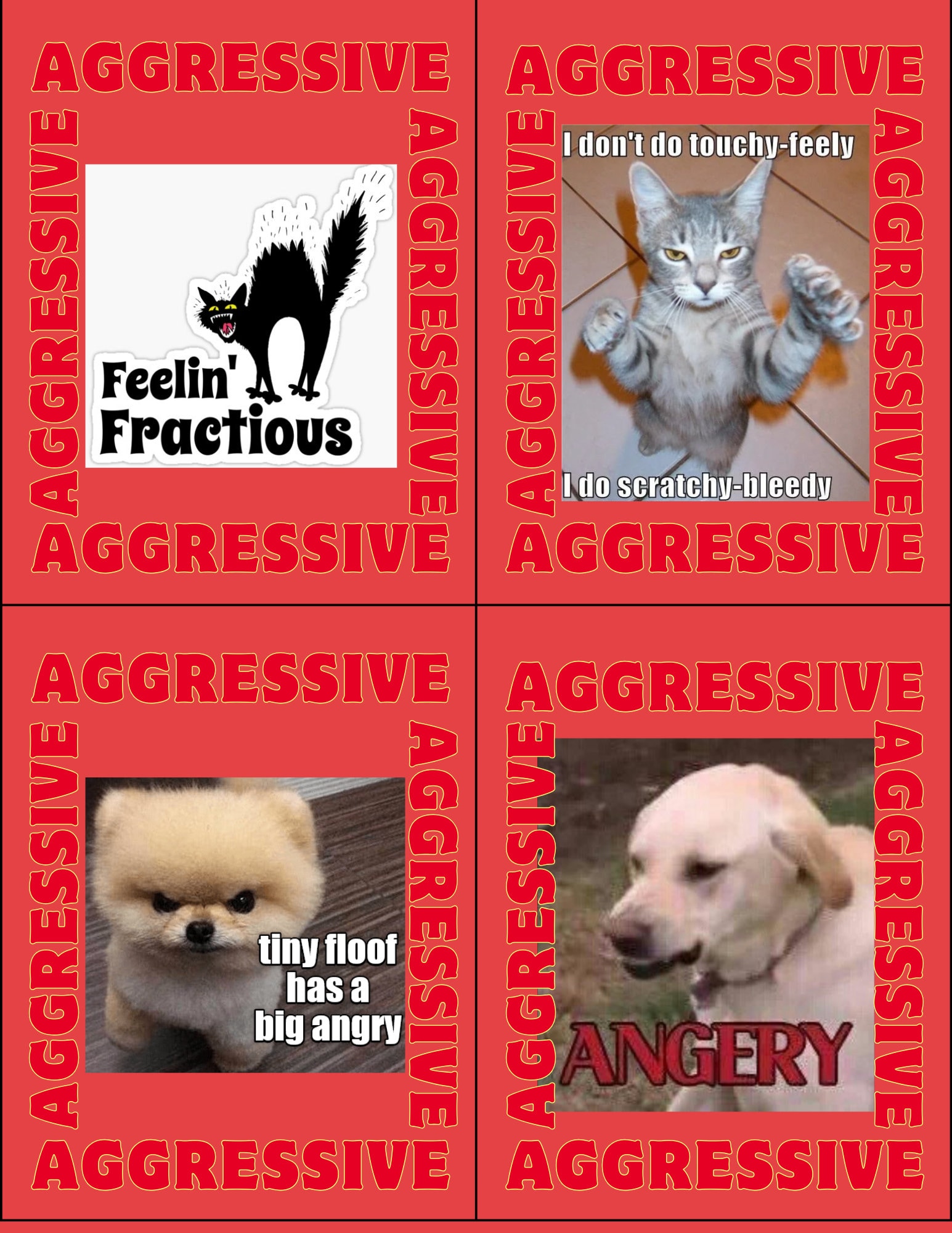 Veterinary Clinic Funny Cage Cards - Etsy