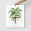 Vintage Palm Tree Illustration 2 Poster - Etsy