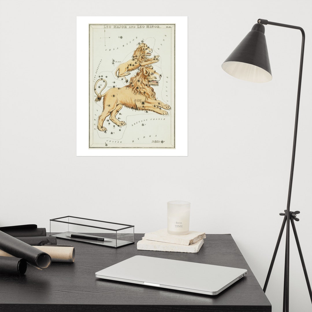 Leo Zodiac Poster - Etsy