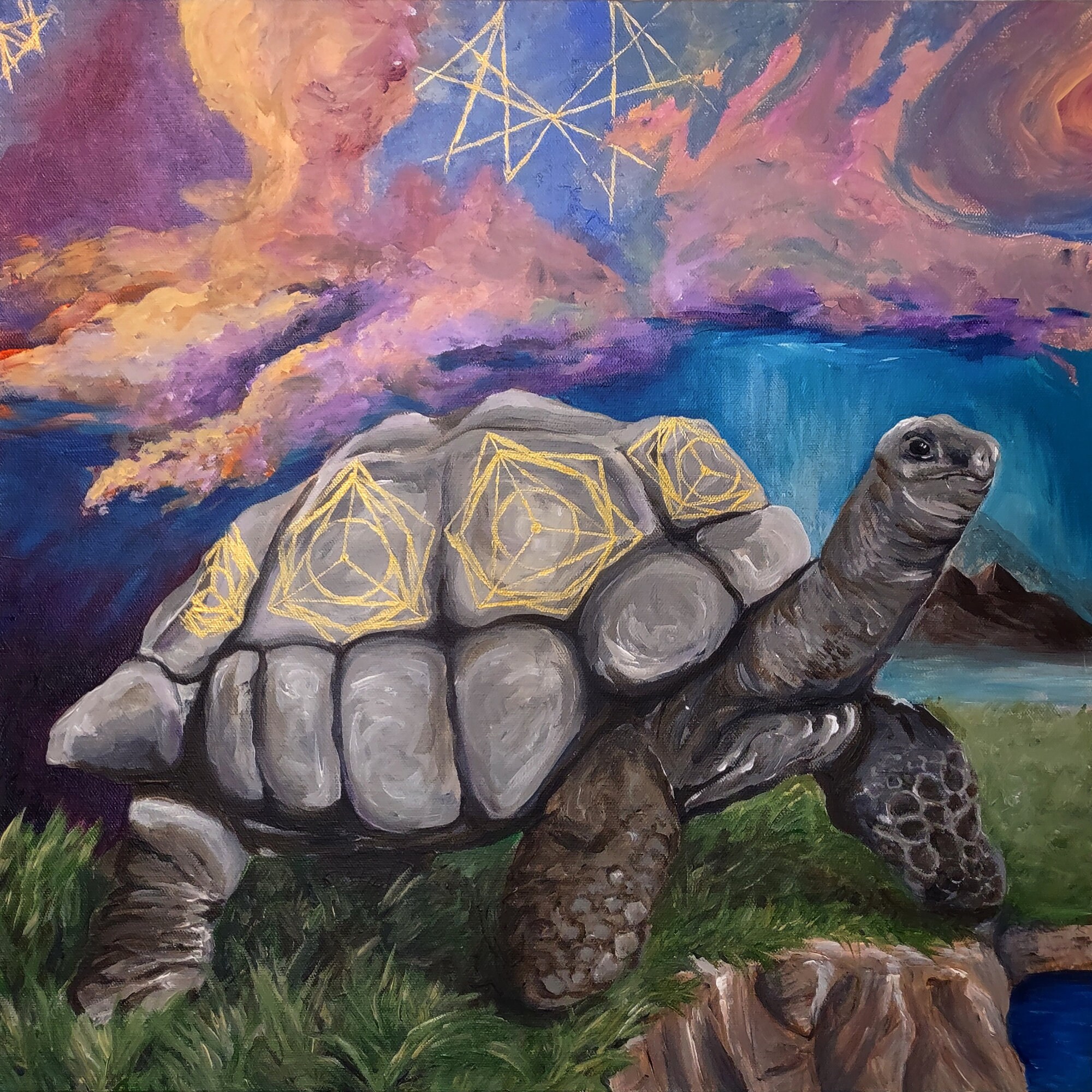 The Elder and the Star Grid - 10"x10" Signed Print - Tortoise Turtle ...