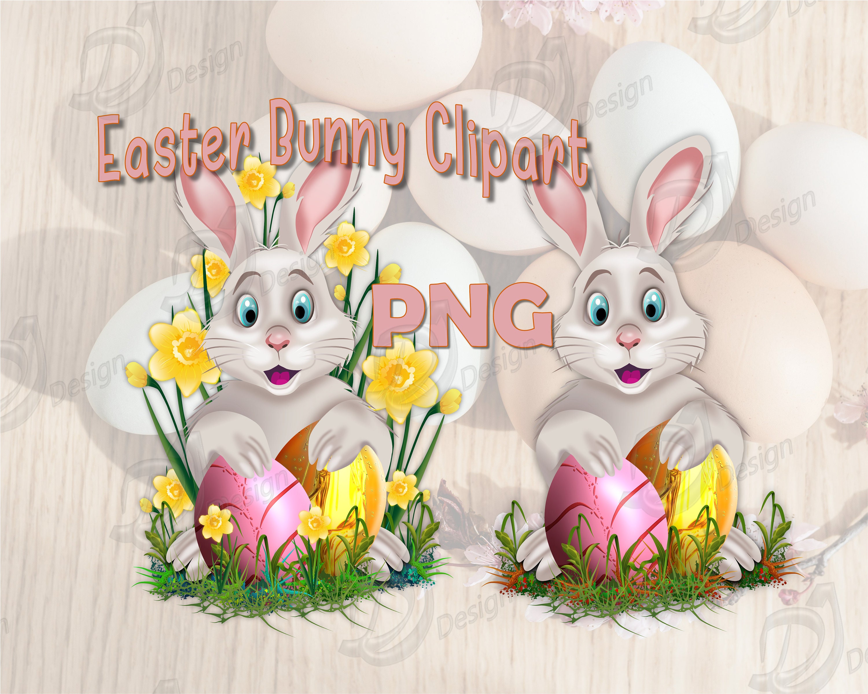 Cute Easter Bunny Clipart PNG, Digital Download, Spring Rabbit Graphics ...