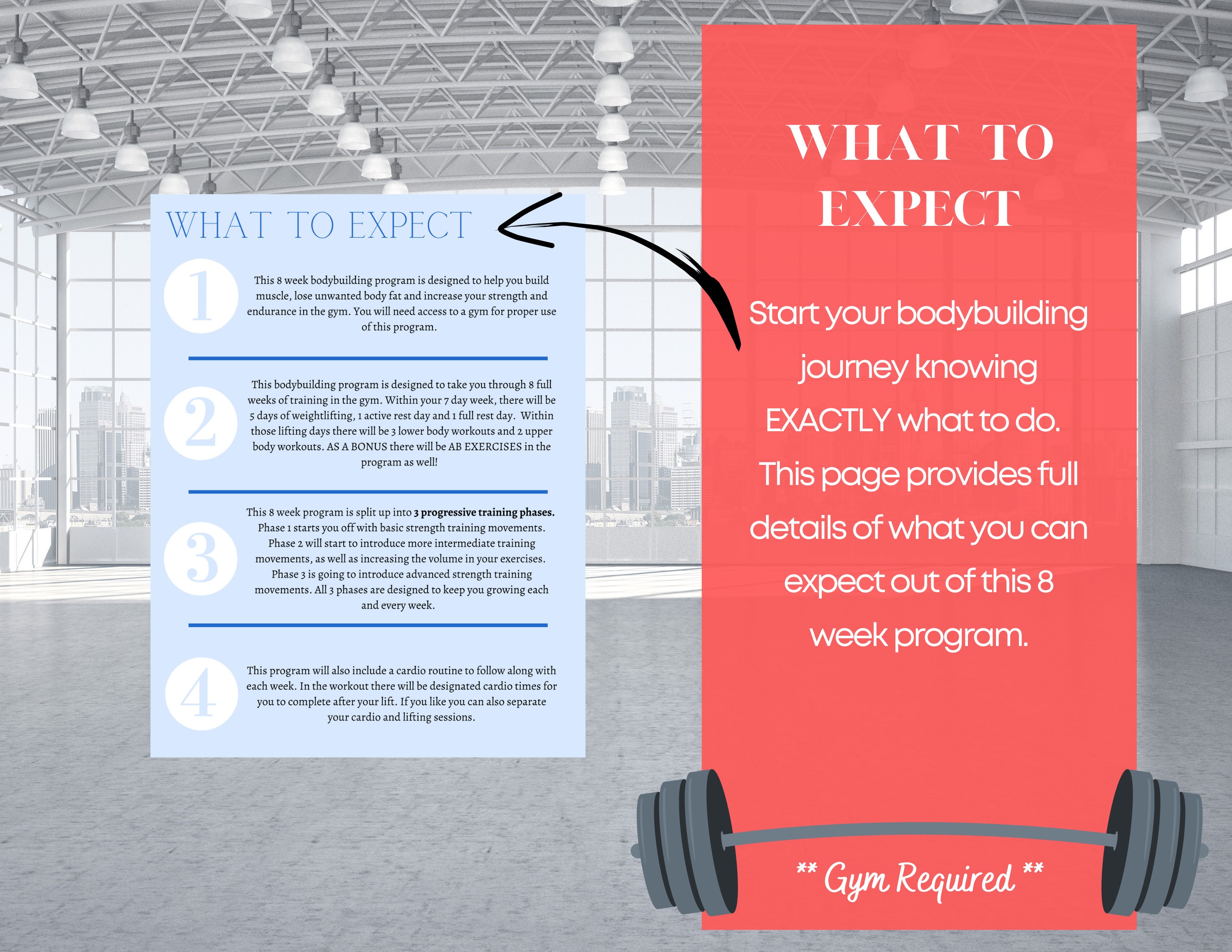 8 Week Bodybuilding Program L IFBB Pro Bodybuilding Program L Gym ...