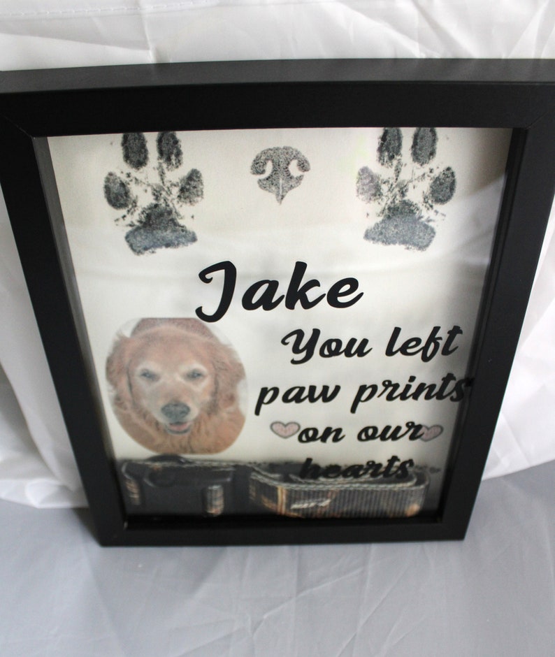 Pet Memorial Paw Print & Collar Shadow Box Dog Paw Prints - Etsy