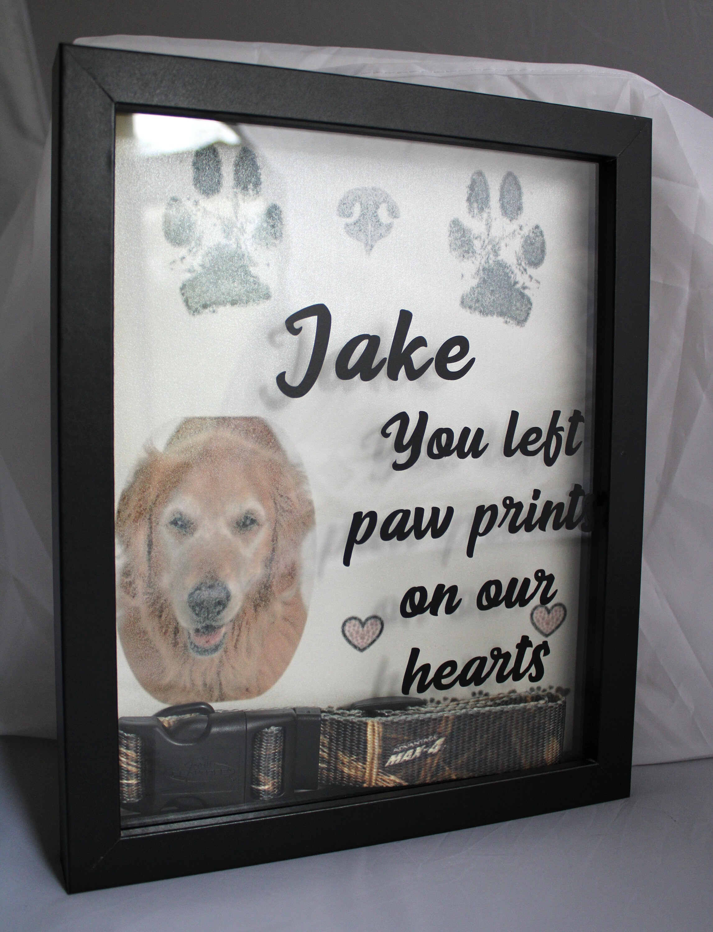 Pet Memorial Paw Print & Collar Shadow Box, Dog Paw Prints, Nose Print ...