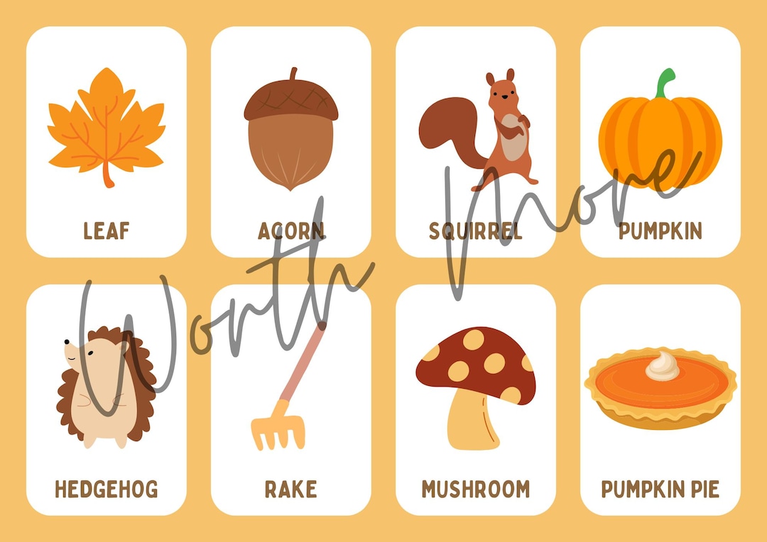 Fall Flashcards - PNG - Etsy