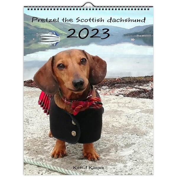 Dachshund Calendar - Etsy