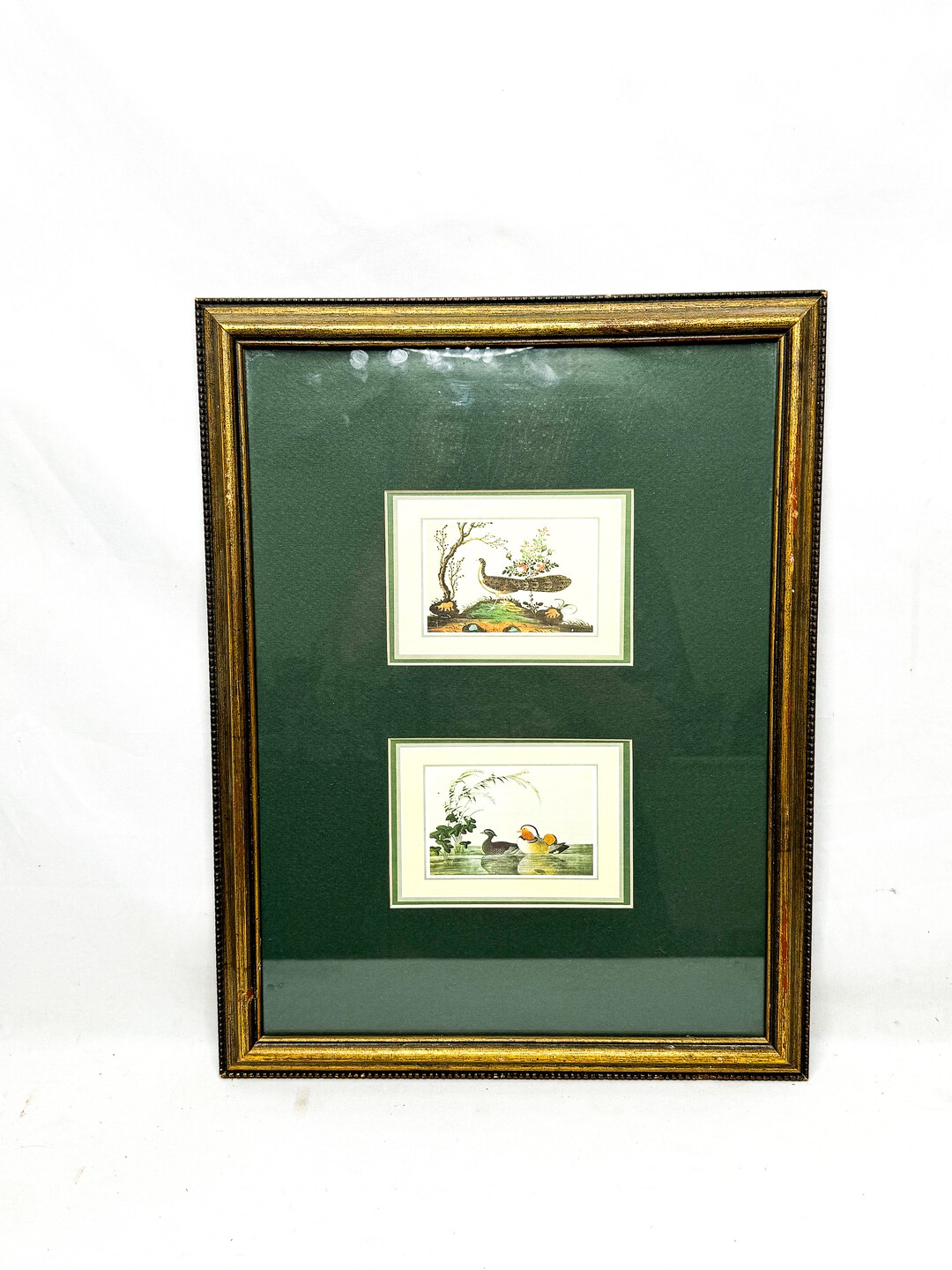 Vintage Chinese Style Watercolor Depicting Pheasant Birds and Ducks on ...