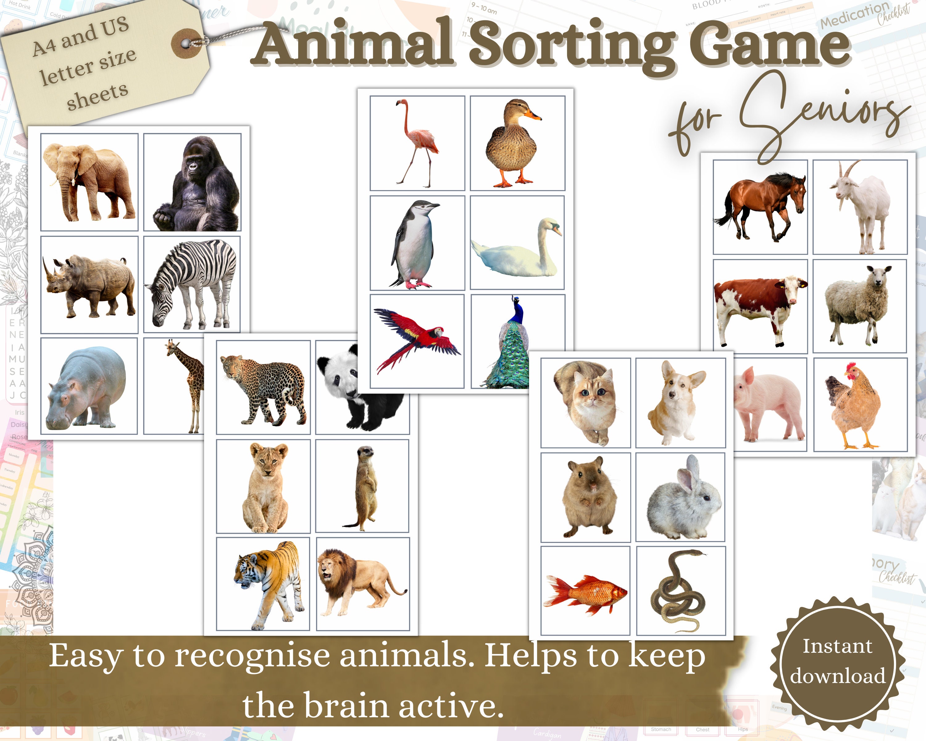 Animal Matching Game for Seniors, Animal Sorting Game, Care Facility ...