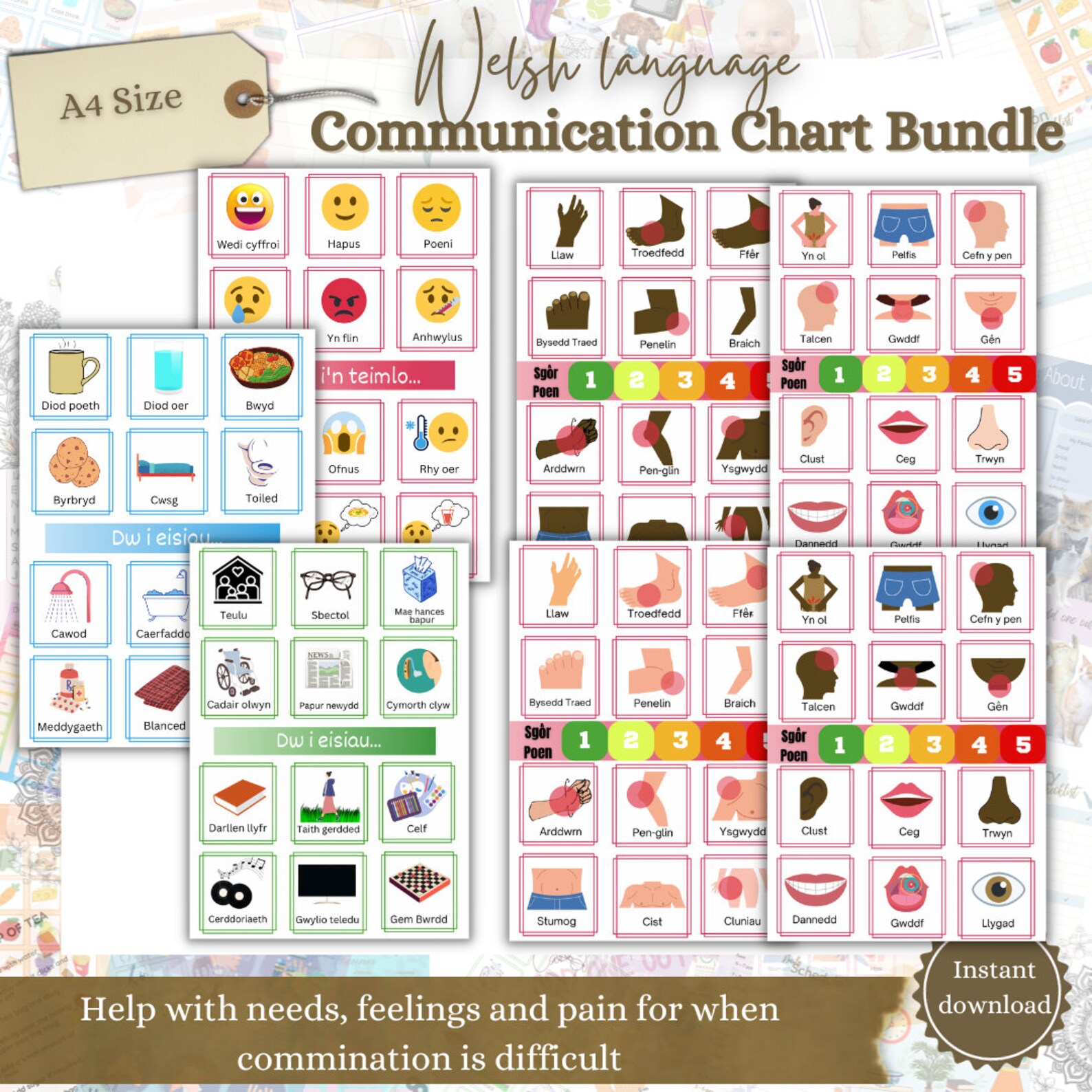 Welsh Dementia Communication Charts, Memory Aid (digital Download) - Etsy