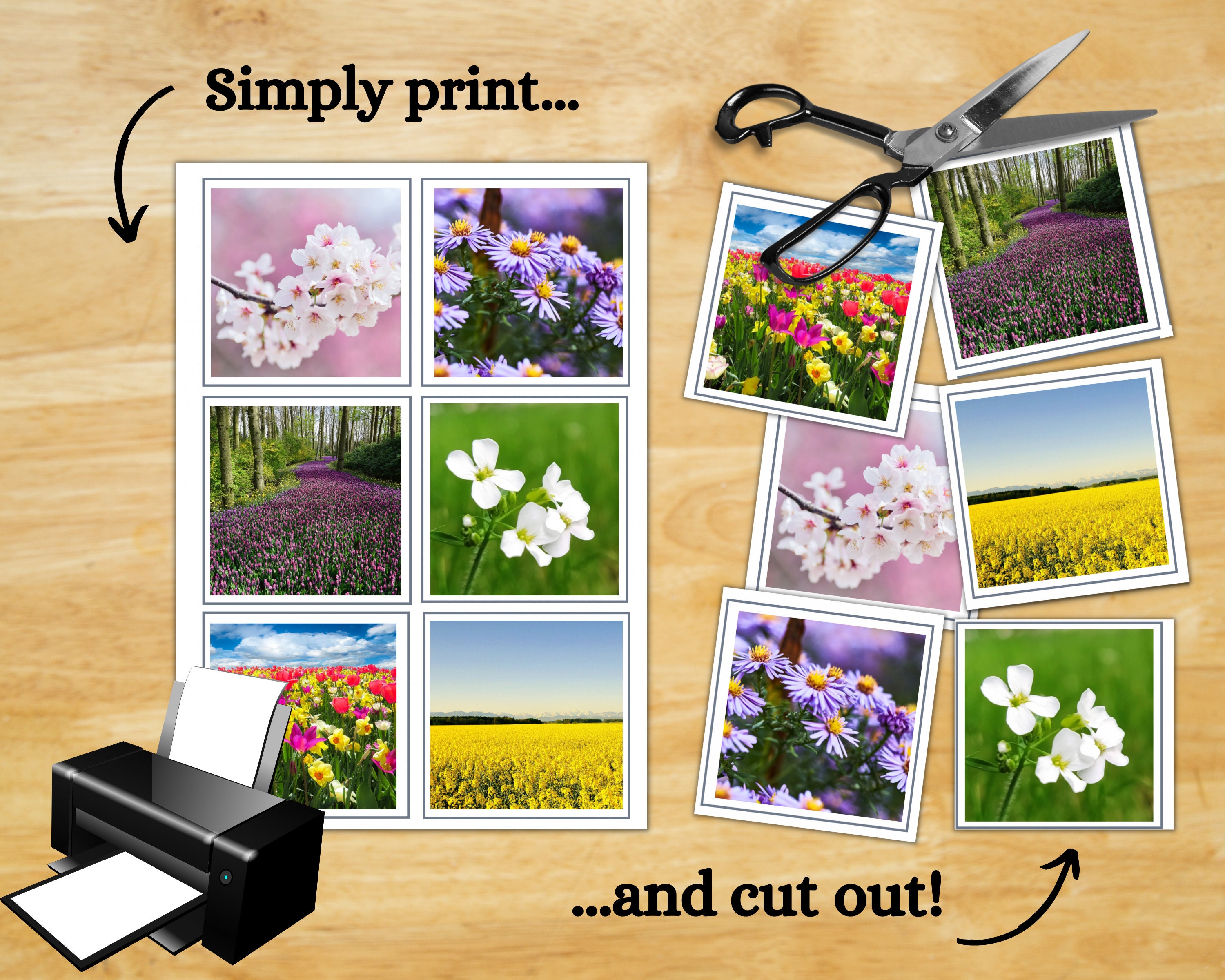 Activity for Seniors, Dementia Activities, Flower Sorting Game, Care ...