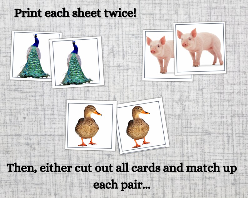 Animal Matching Game for Seniors, Animal Sorting Game, Care Facility ...