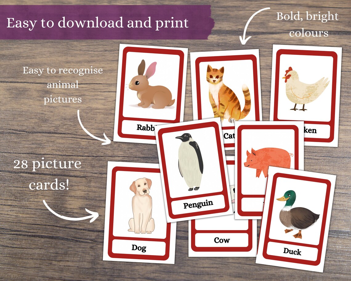 Printable Animal Flashcards, Visual Aid for Seniors, Dementia Aid ...