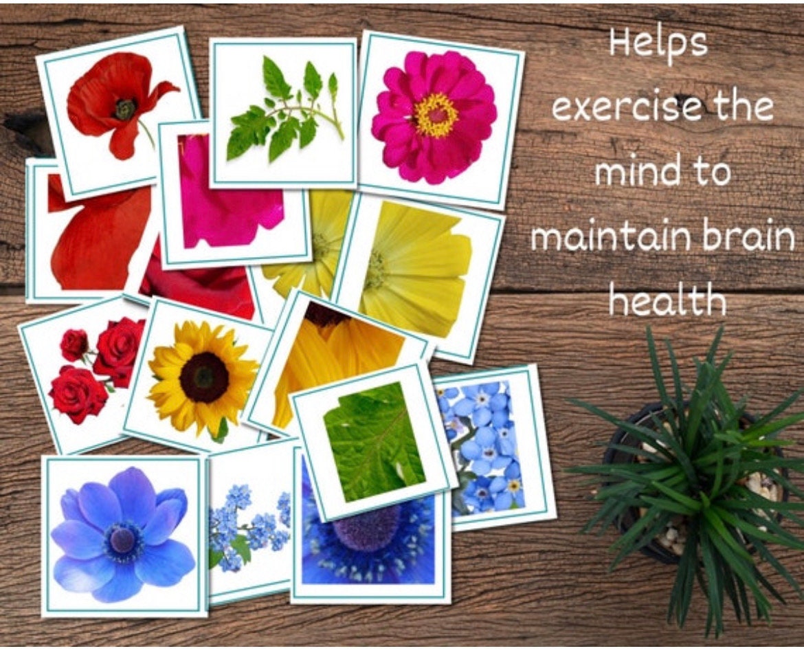 Activity Bundle for Seniors Matching Game Dementia - Etsy