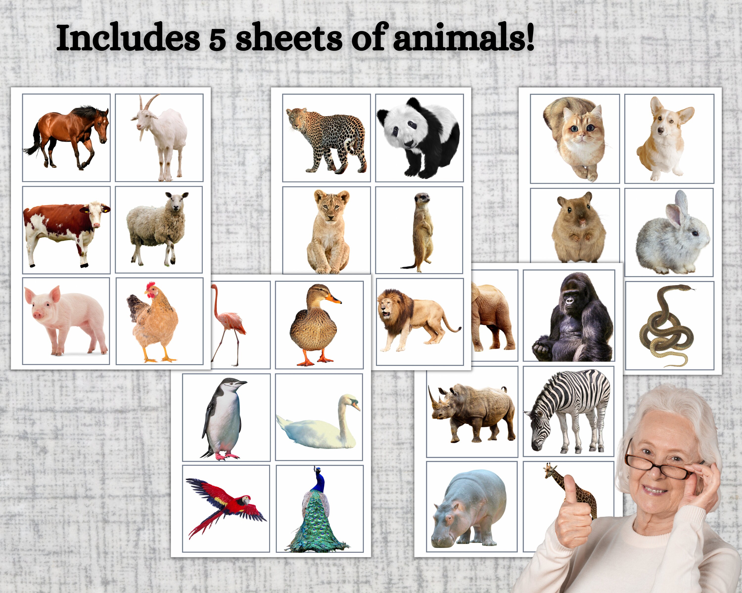 Animal Matching Game for Seniors, Animal Sorting Game, Care Facility ...