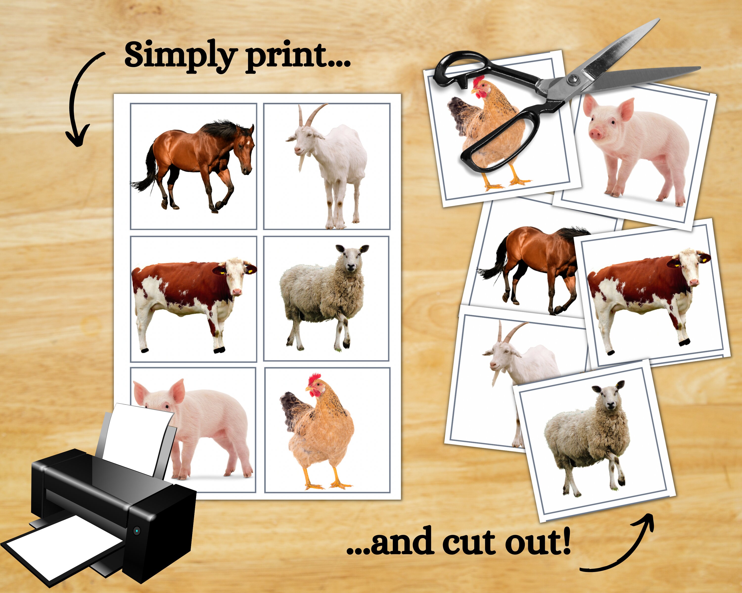 Animal Matching Game for Seniors, Animal Sorting Game, Care Facility ...
