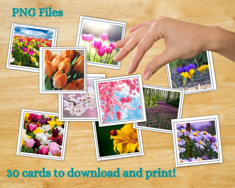 Activity for Seniors, Dementia Activities, Flower Sorting Game, Care ...