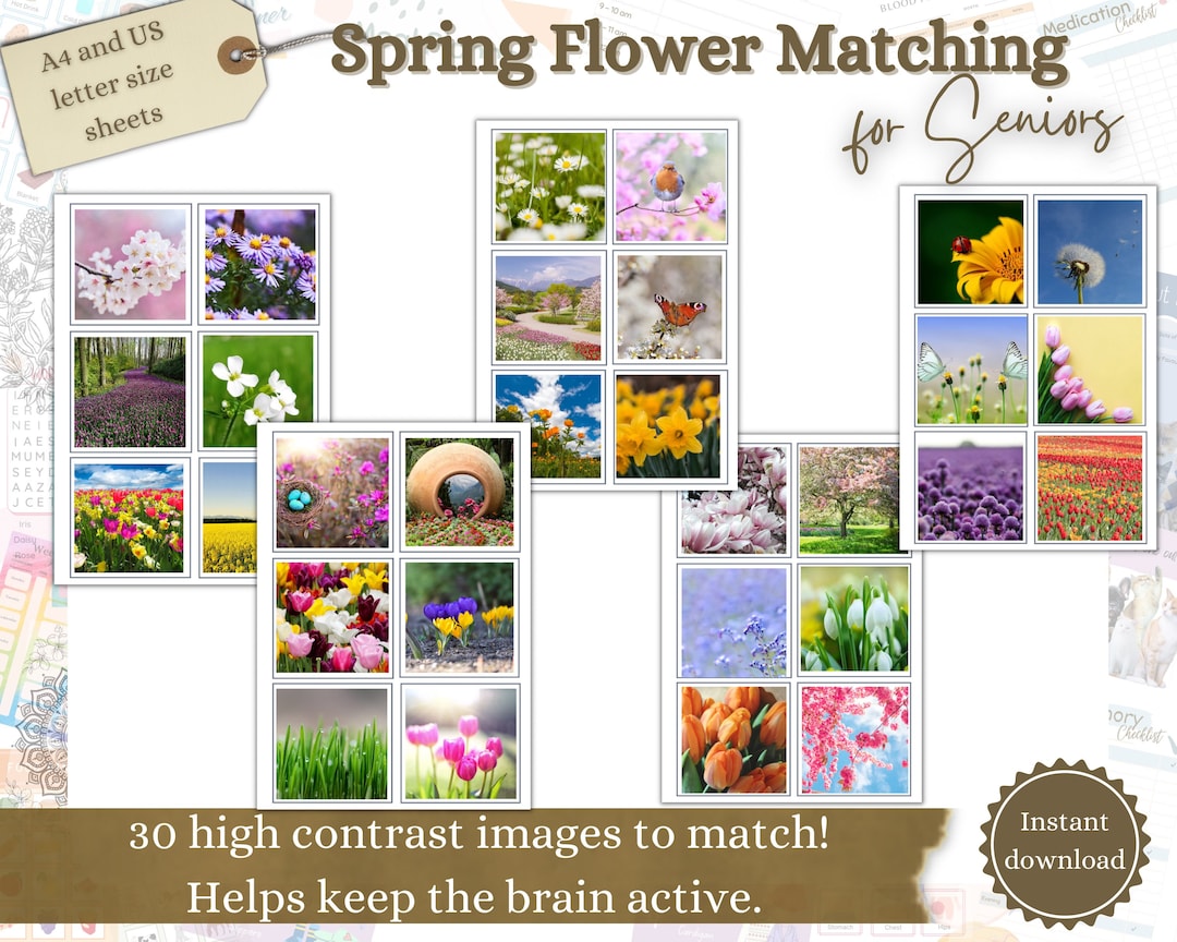 Activity for Seniors, Dementia Activities, Flower Sorting Game, Care ...