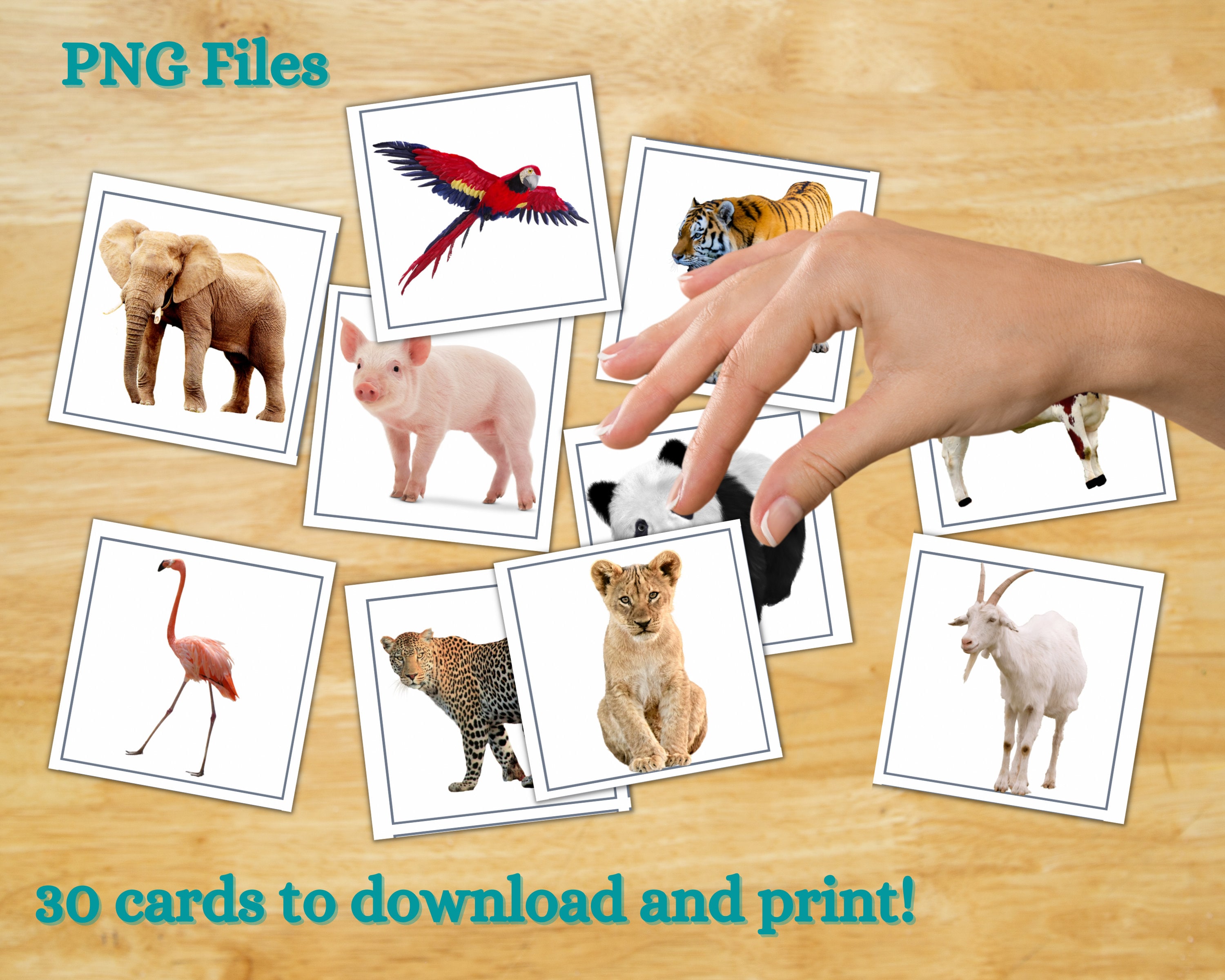Animal Matching Game for Seniors, Animal Sorting Game, Care Facility ...