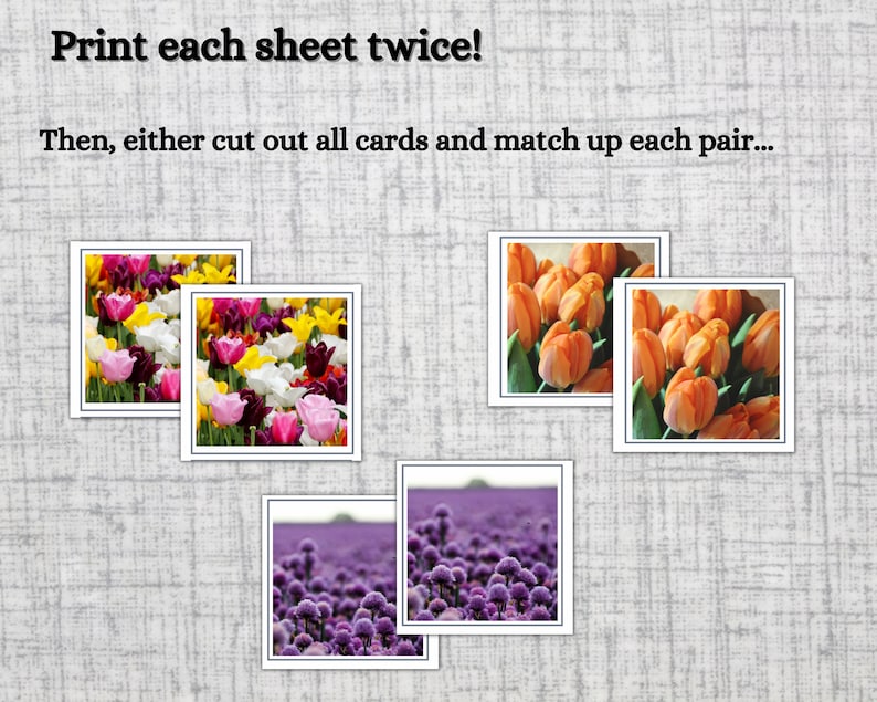 Activity for Seniors, Dementia Activities, Flower Sorting Game, Care ...