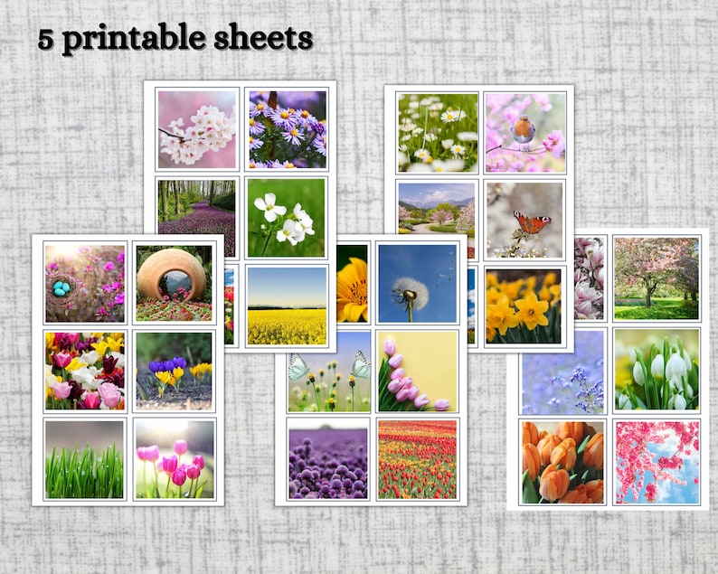 Activity for Seniors, Dementia Activities, Flower Sorting Game, Care ...