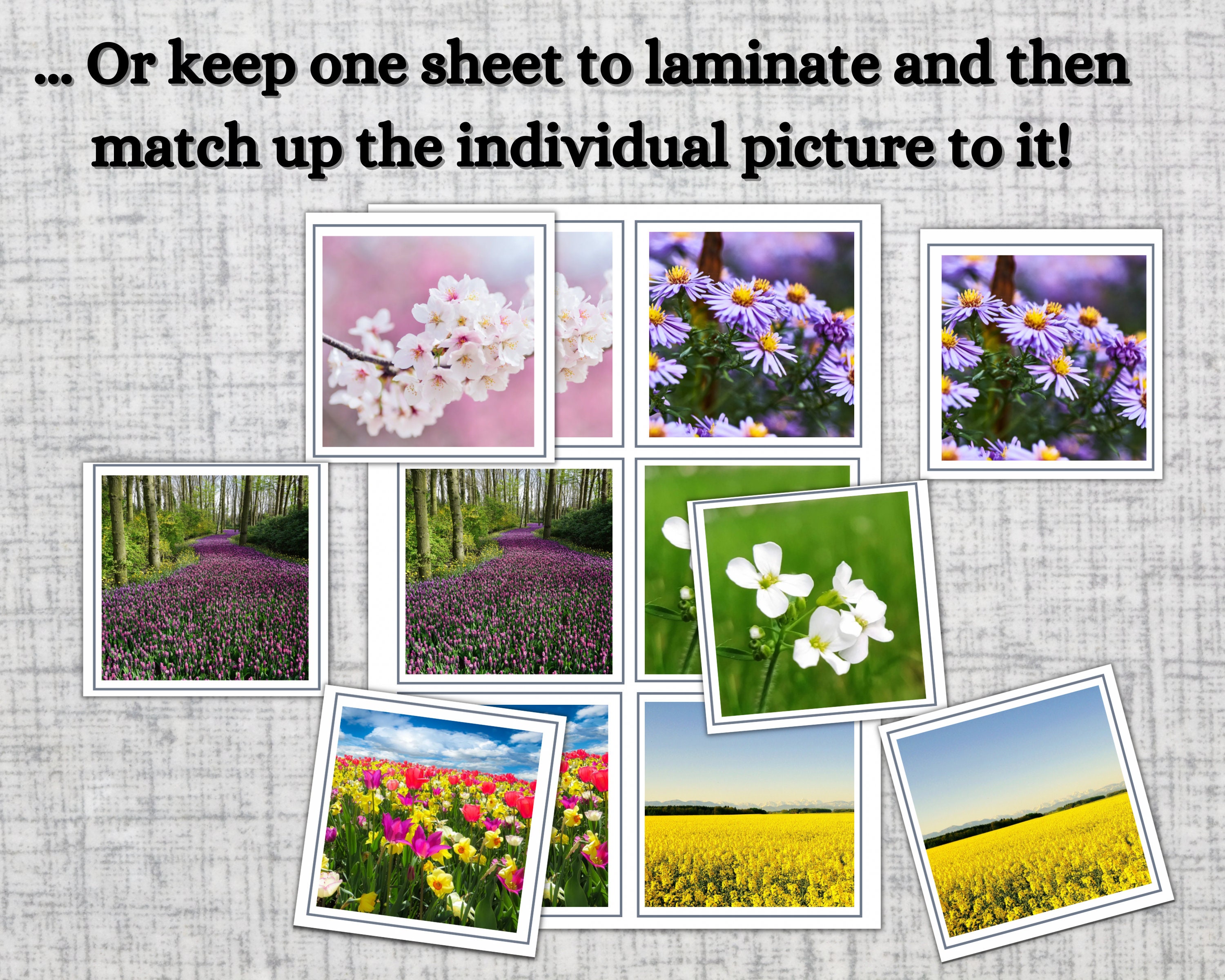 Activity for Seniors, Dementia Activities, Flower Sorting Game, Care ...