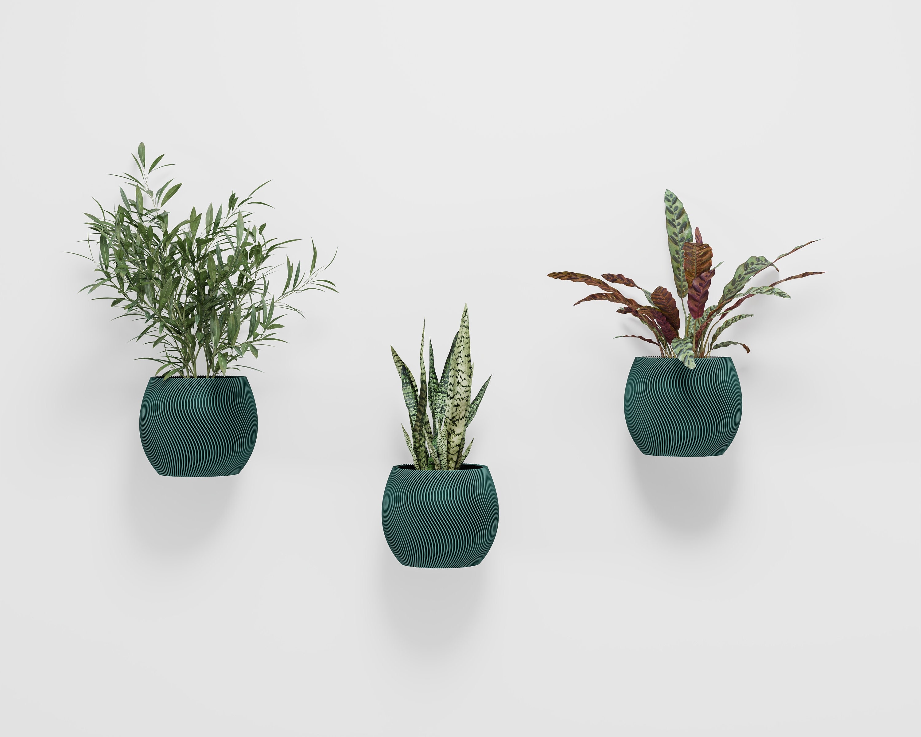 Wall Mounted Indoor Plant Pot for Succulents Renter Friendly Eco ...