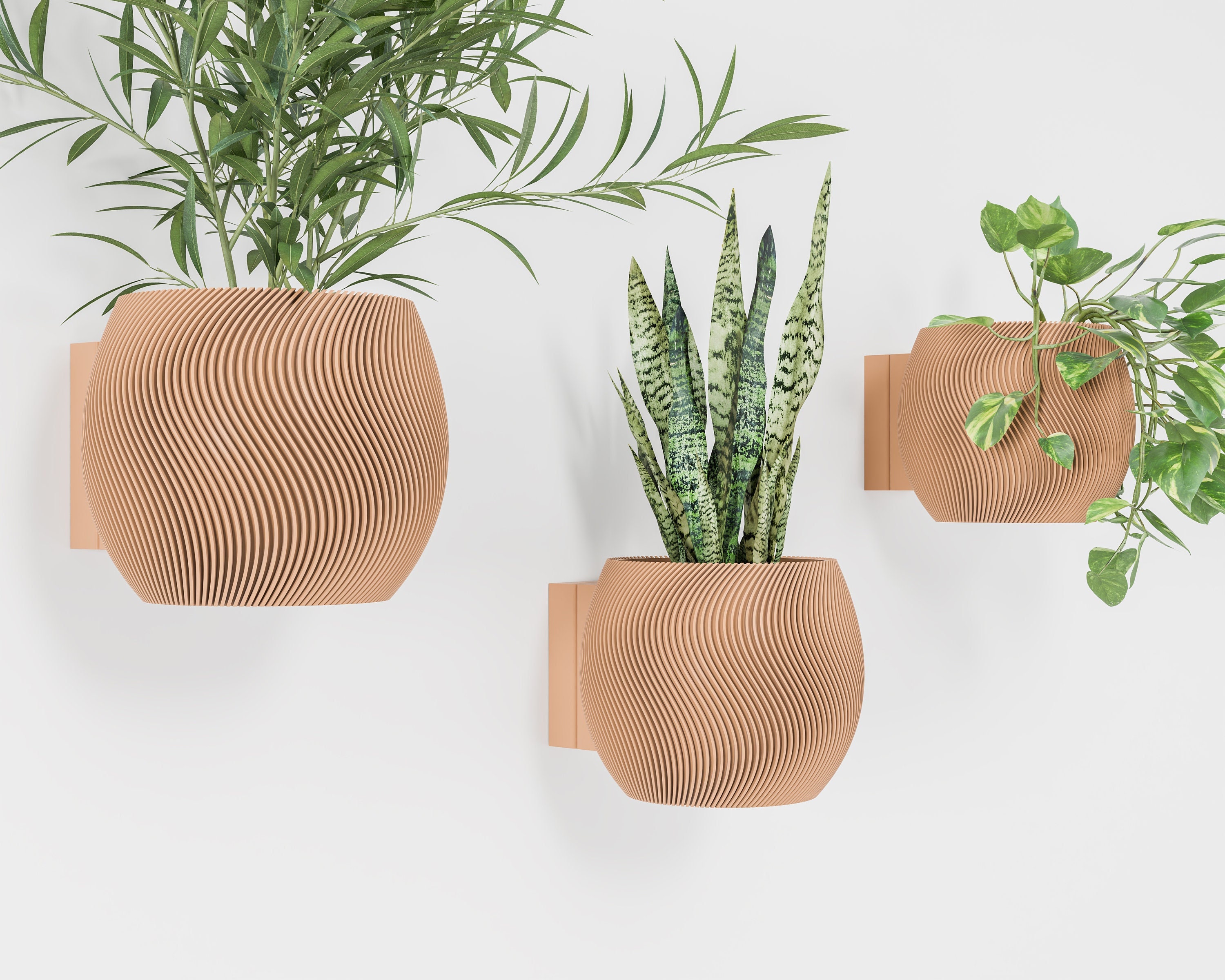 Wall Mounted Indoor Plant Pot for Succulents Renter Friendly Eco ...