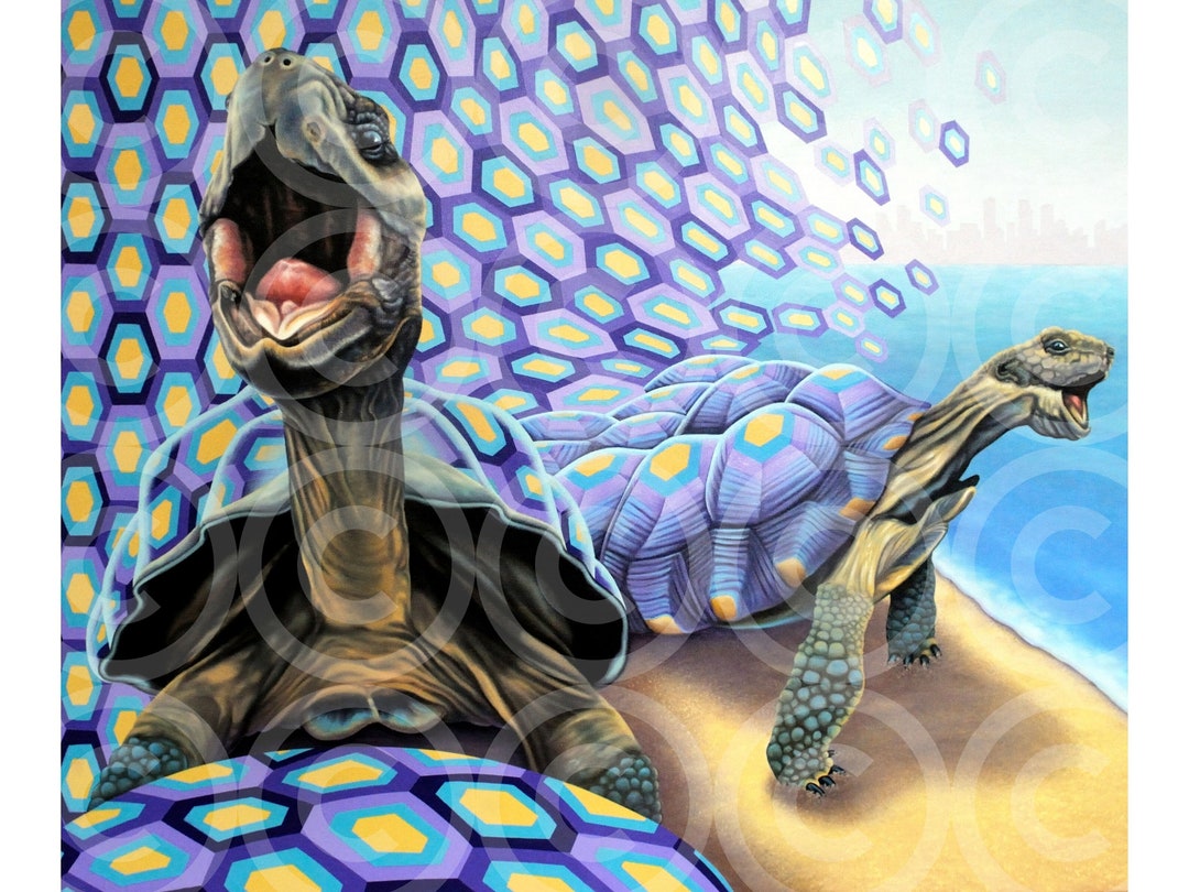 Turtle Scales Original Oil Painting on Stretched Canvas With - Etsy