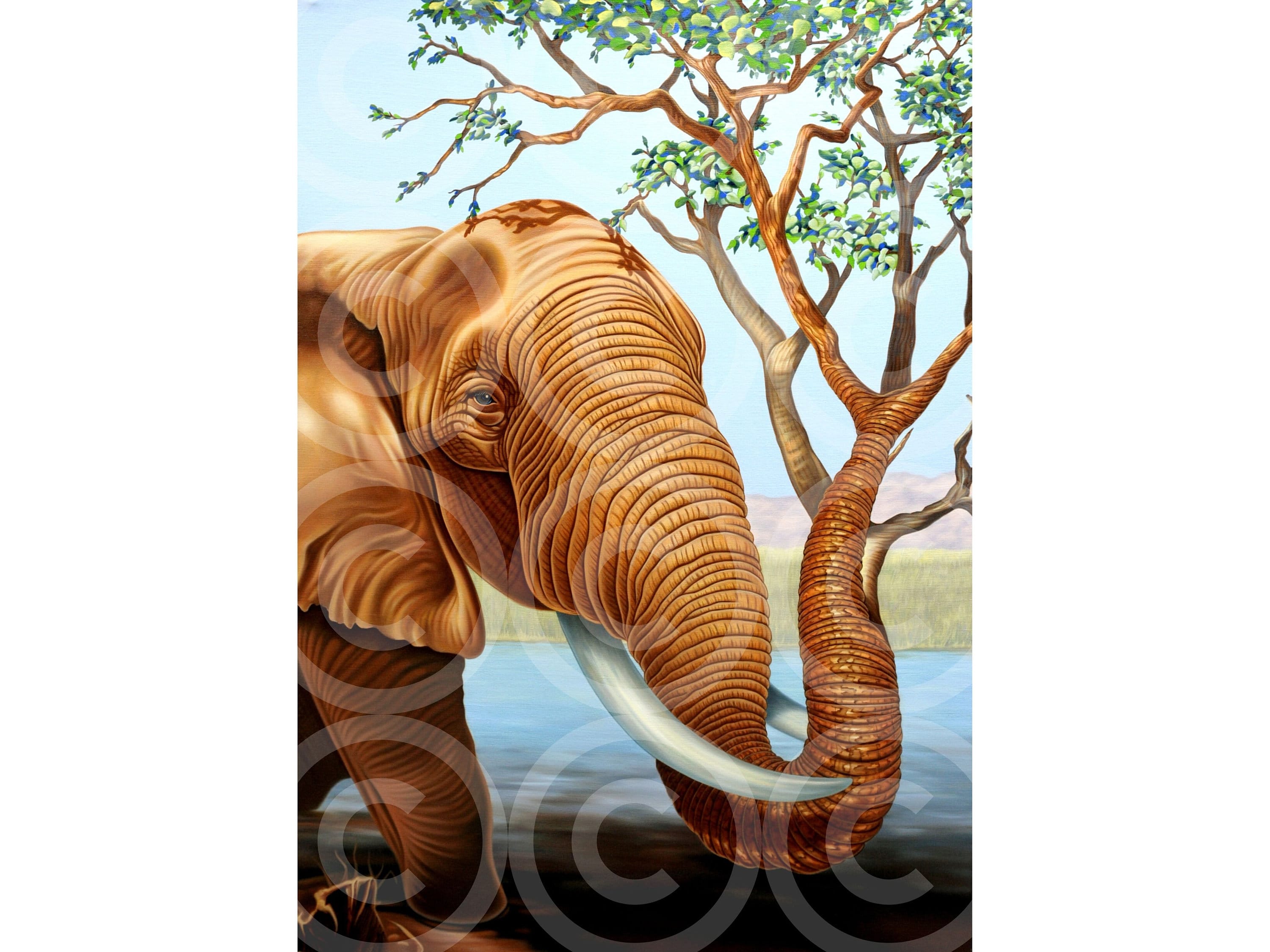 Elephant Tree Trunk Original Oil Painting on Stretched Canvas With ...