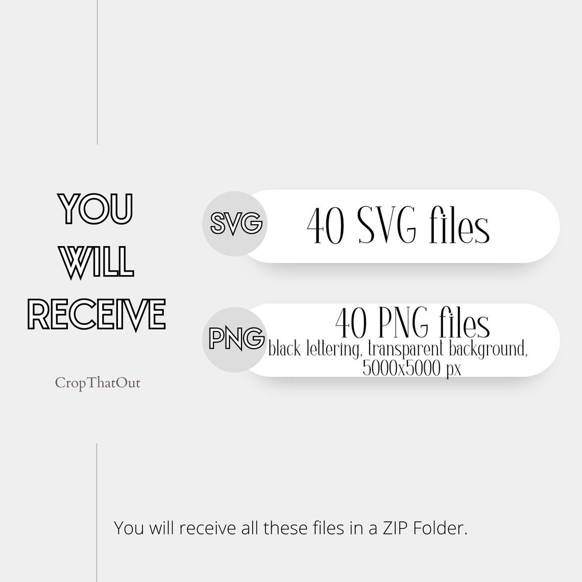 Cash Envelope Labels Svg Budget Binder Svg Cash Budgeting Png Cash ...