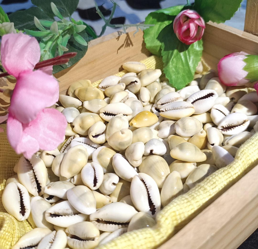 Gomti Gomati Chakra , Peeli Kodi Kaudi , Pooja Items , Yellow Lakshmi ...