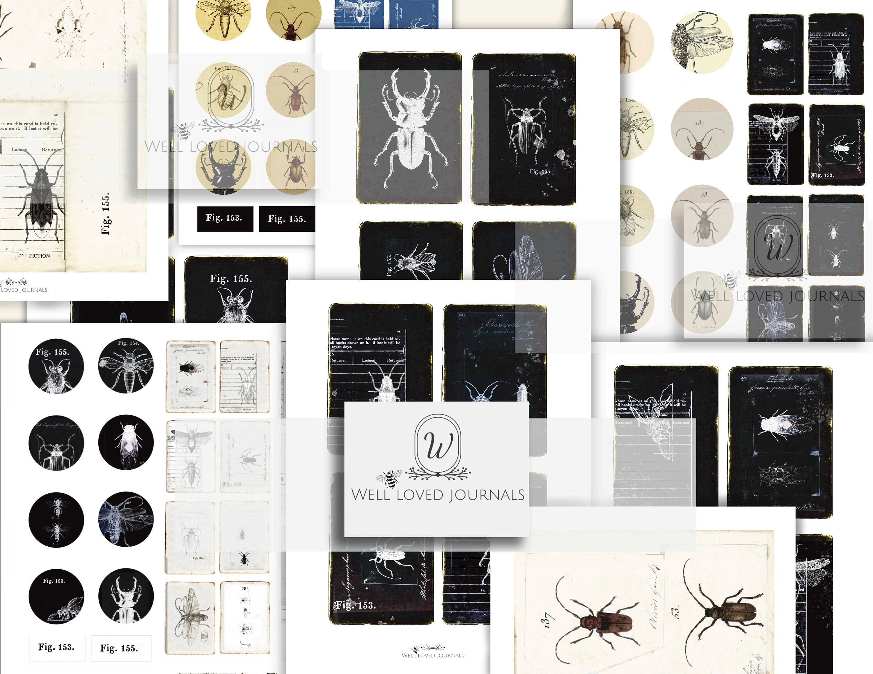 9 Sheets of Bugs Ephemera, Tailored for Vintage, Gothic, or Halloween ...