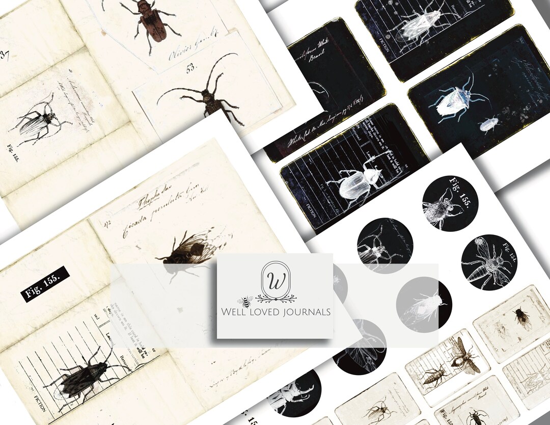 9 Sheets of Bugs Ephemera, Tailored for Vintage, Gothic, or Halloween ...