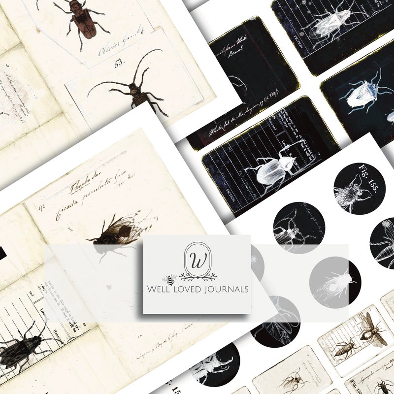 Vintage Bug Print - Etsy