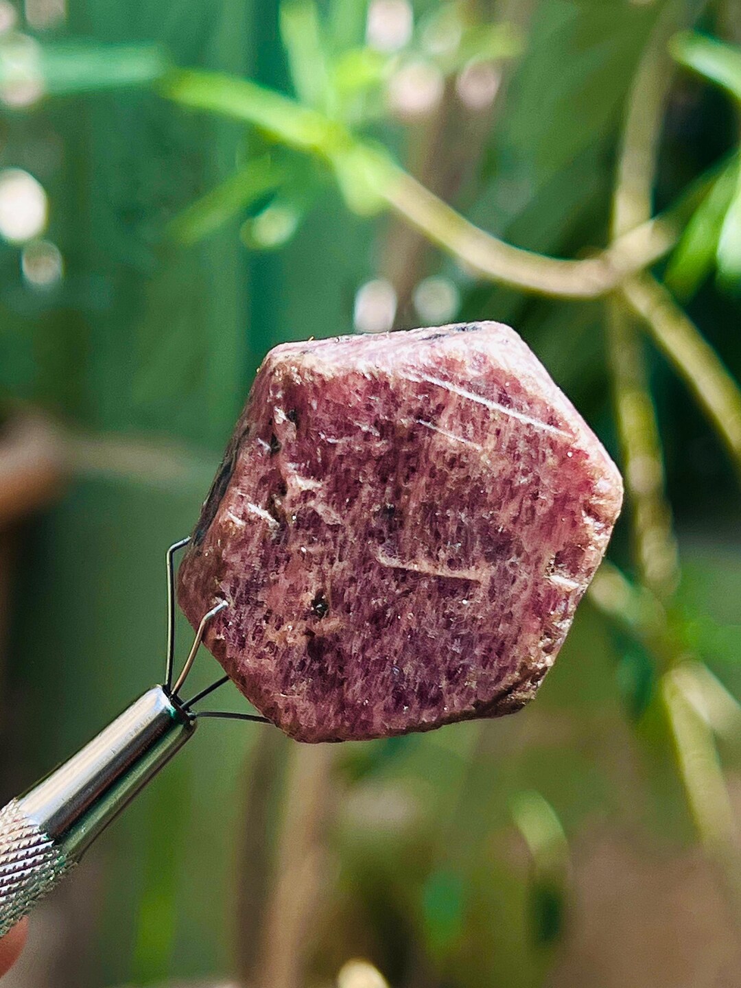Raw African Ruby Record Keeper: 241 Carat Natural Gemstone - Etsy