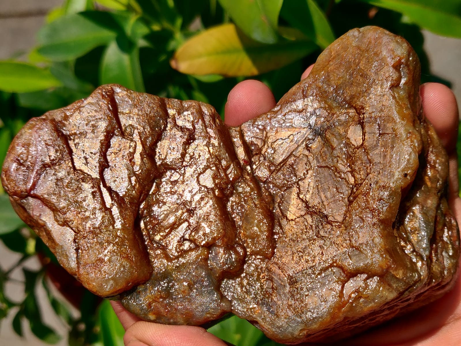 Unique Golden Blue Star Sapphire Raw, Natural Star Sapphire Rough Stone ...