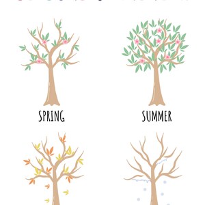 Colourful Educational Poster Set for Kids - Days of the Week, Months ...