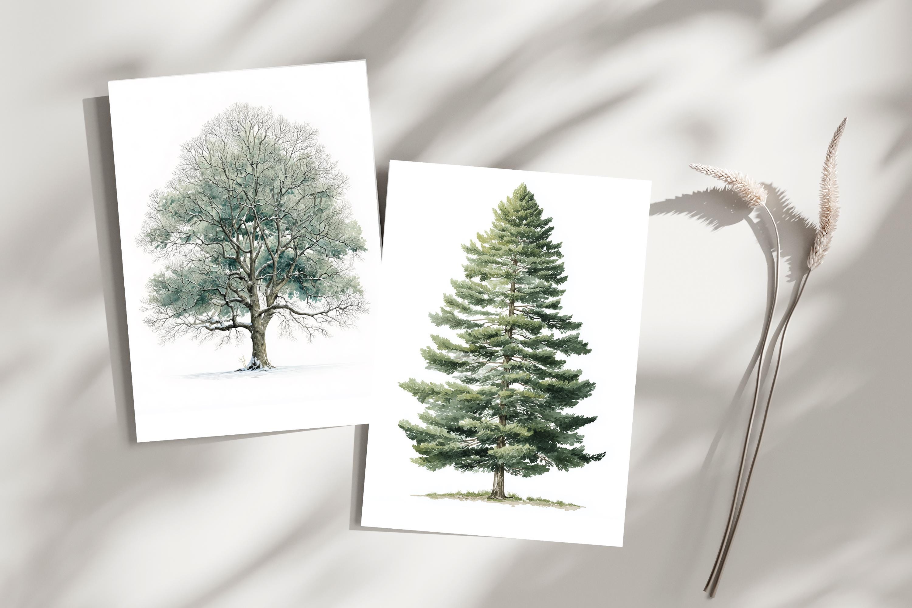 Set of 5 Watercolor Tree Art Cards, Nature Greeting Cards With ...