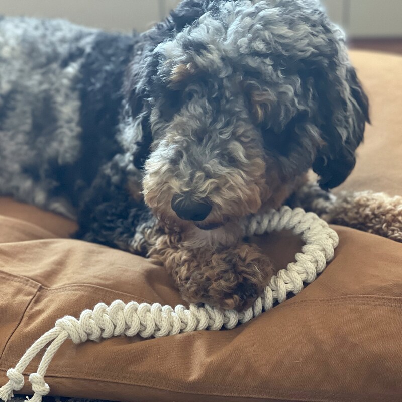 Rope Dog Toys - Etsy