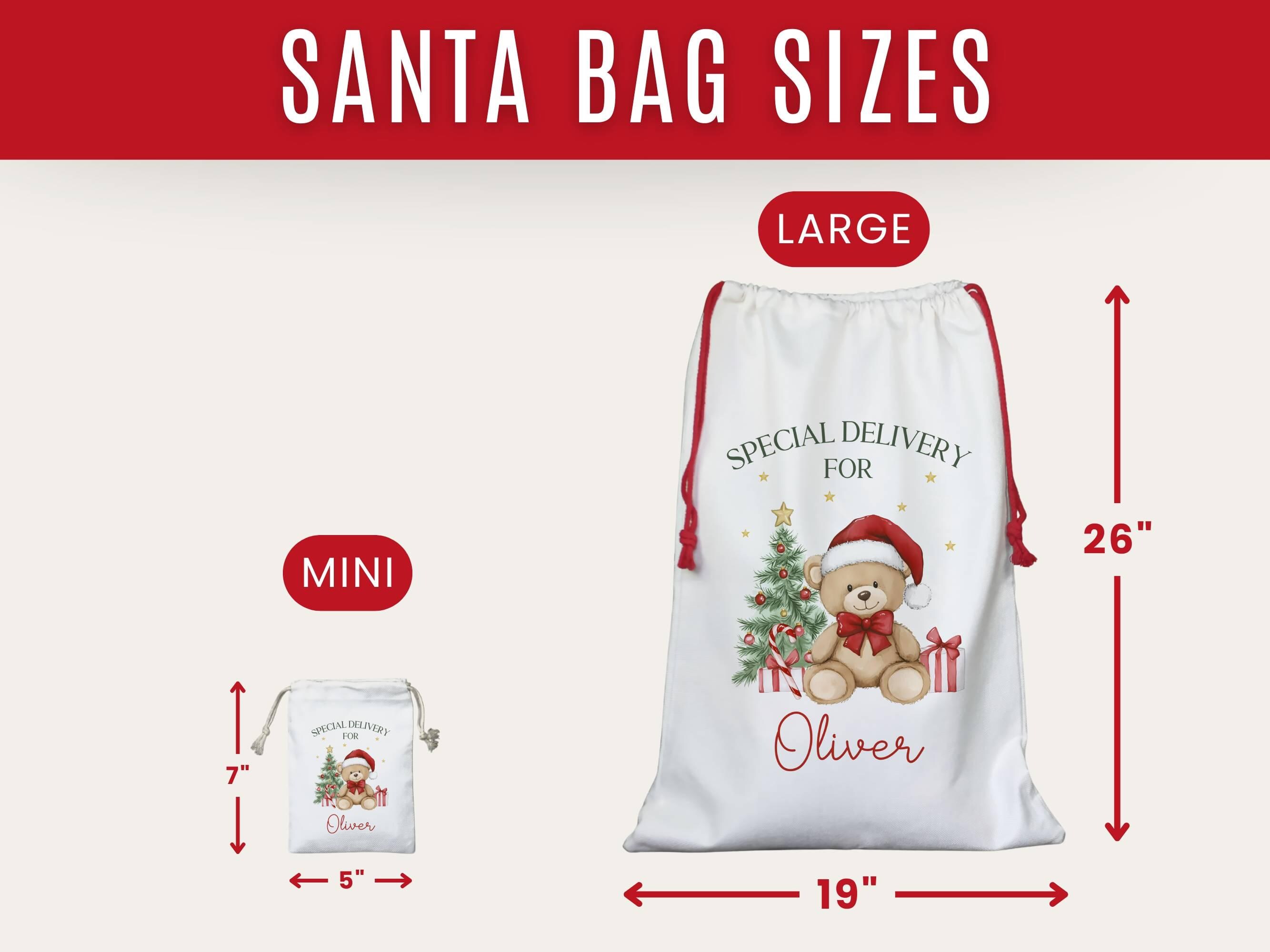 Special Delivery Santa Bag, Custom Boy's Christmas Gift Bag Special ...