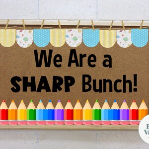 We Are a SHARP Bunch! Classroom Bulletin Board Kit | Door Decoration ...