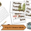 Editable Camp Theme Printable Classroom Schedule / Teacher Resources ...