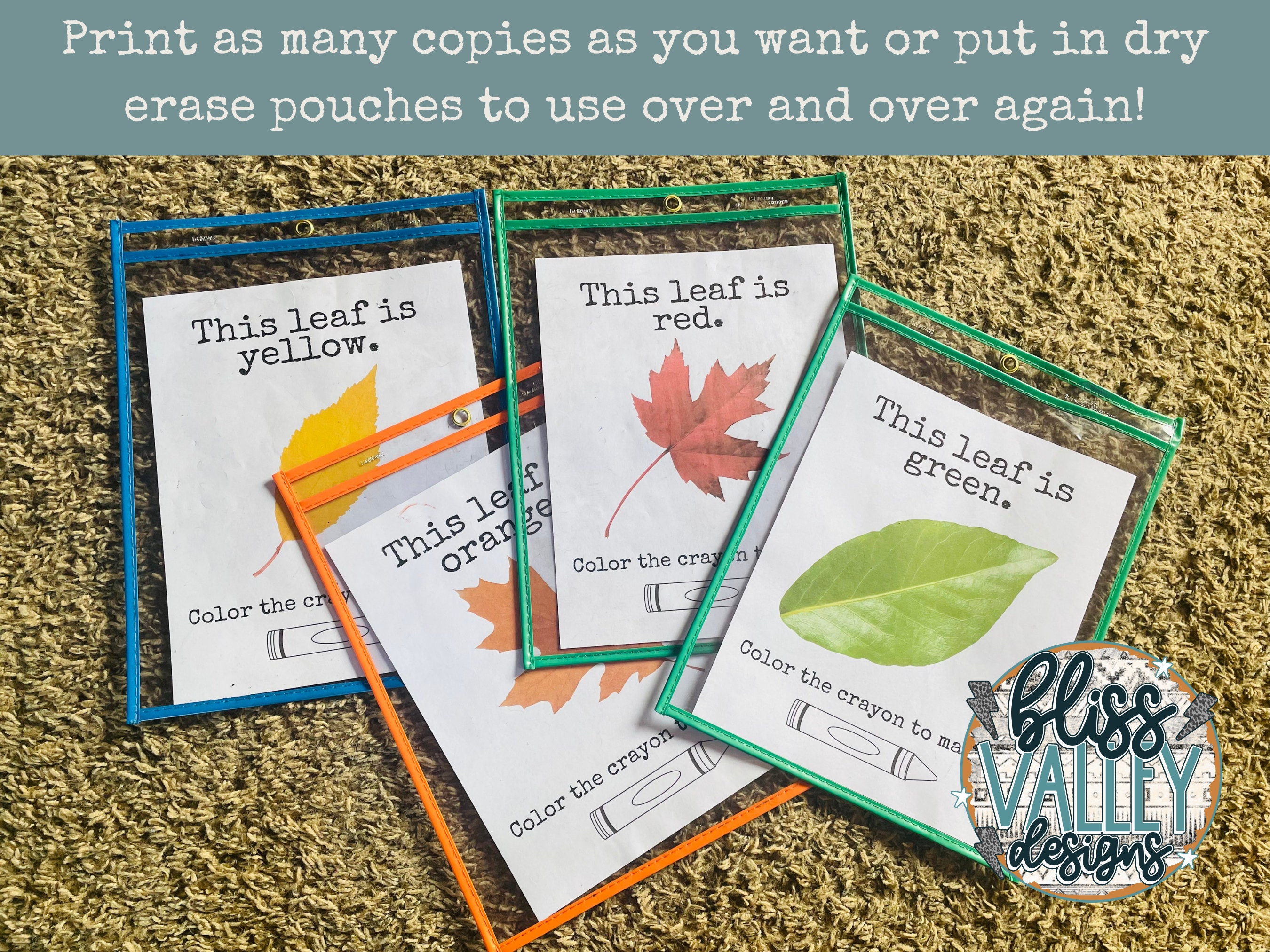 Preschool Homeschool Activity Pack for Leaf Unit Curriculum - Etsy