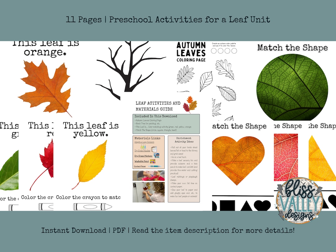 Preschool Homeschool Activity Pack for Leaf Unit | Curriculum | Fall ...