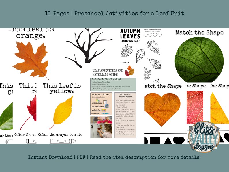 Preschool Homeschool Activity Pack for Leaf Unit Curriculum - Etsy